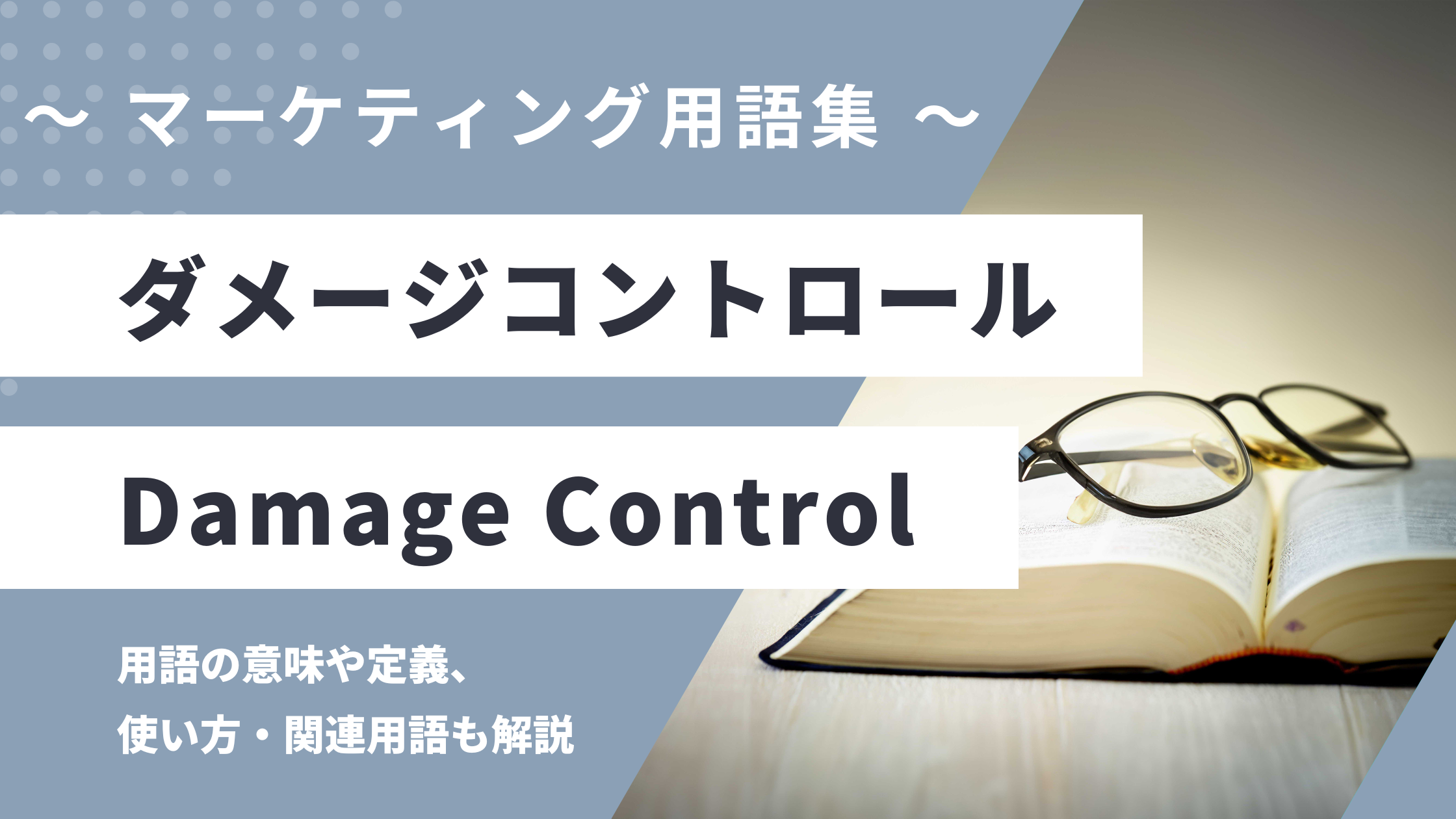 ダメージコントロール – Damage Controlとは？ | webnala